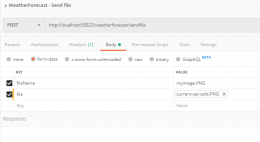 ASP.NET Core in .NET 5 - pass parameters to actions - Michał Białecki Blog