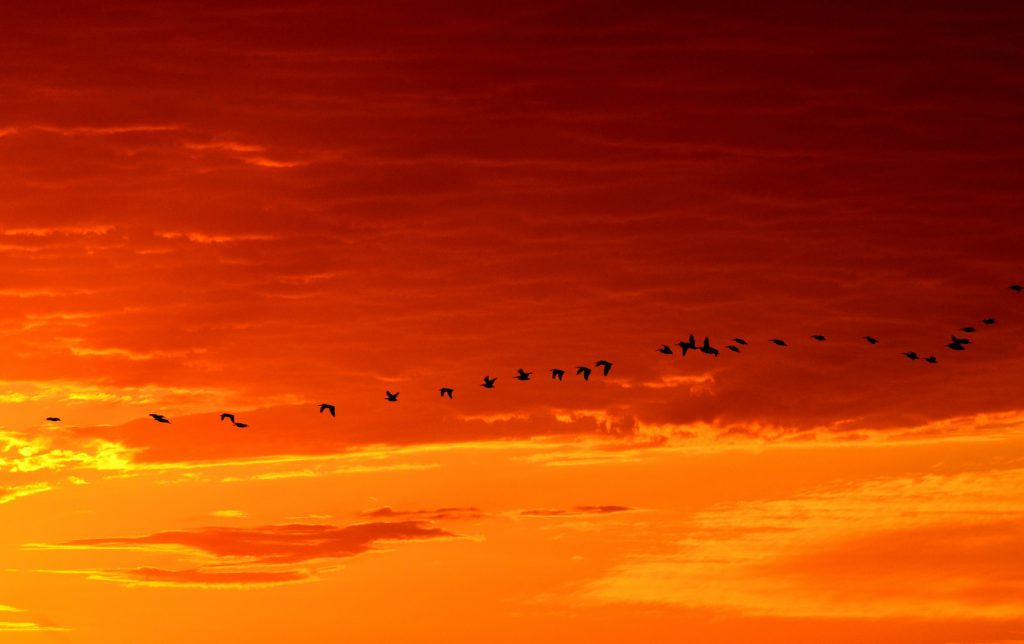 Adding Entity Framework Core 5 Migrations To Net 5 Project Michał Białecki Blog
